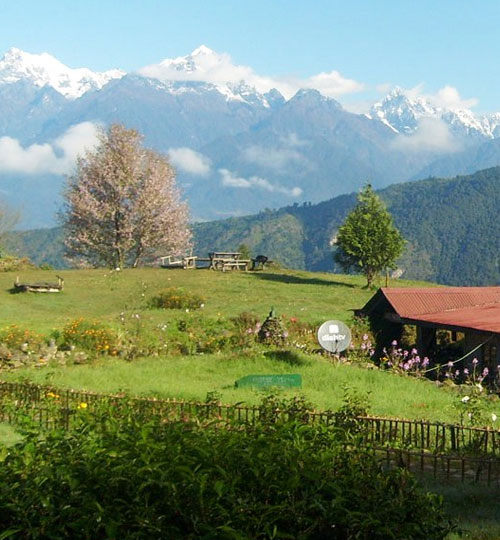 Ravangla - nbtt.in